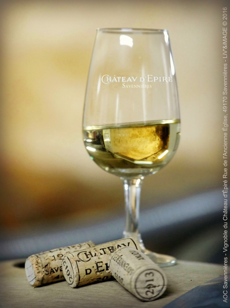 Interview vidéo de Paul Bizard viticulteur au Chateau d’Epiré à ...